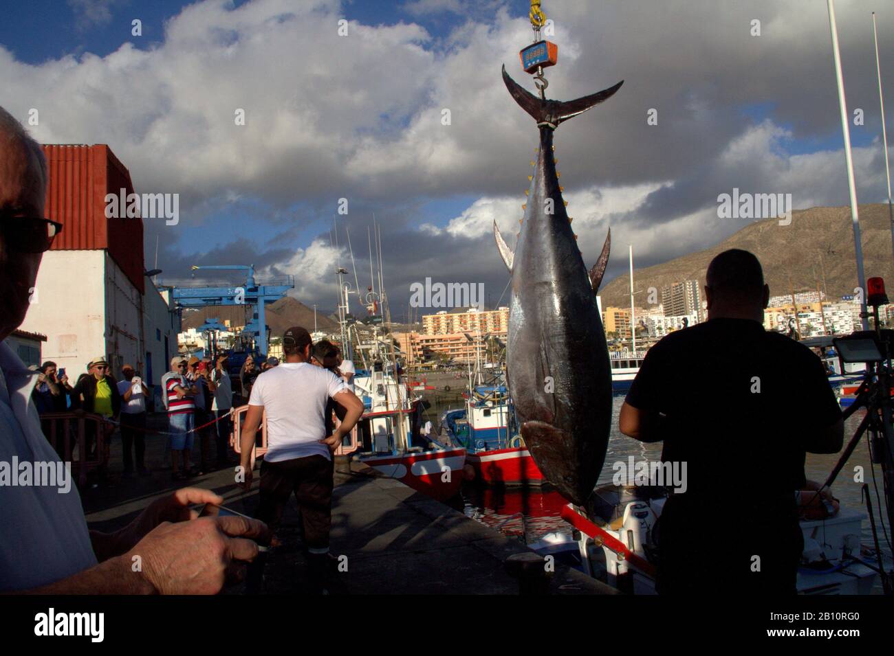 Pacific bluefin tuna fishing hi-res stock photography and images - Alamy