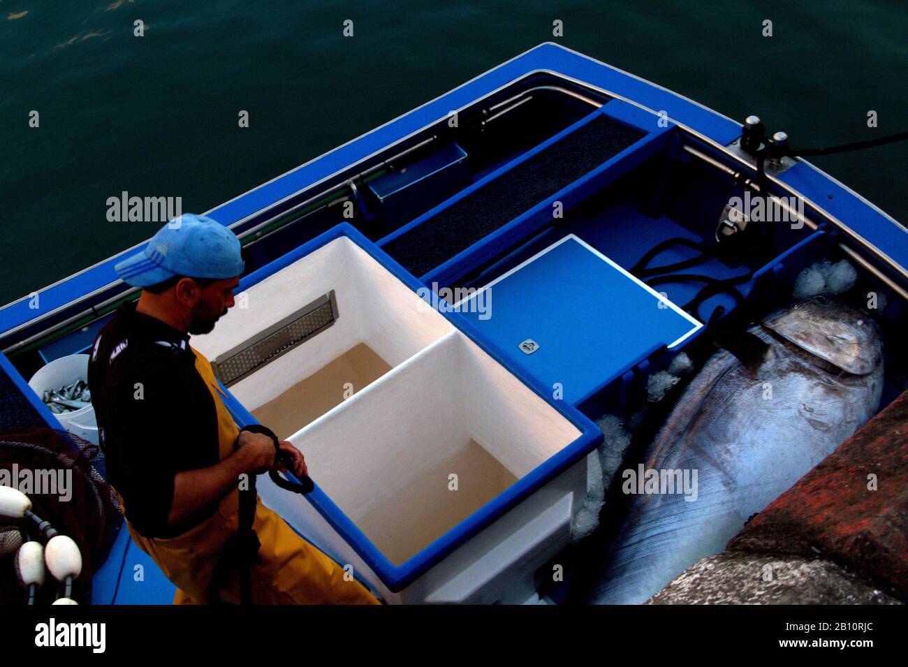 Spain. 21st Feb, 2020. First day in Canary islands of bluefin tuna ...