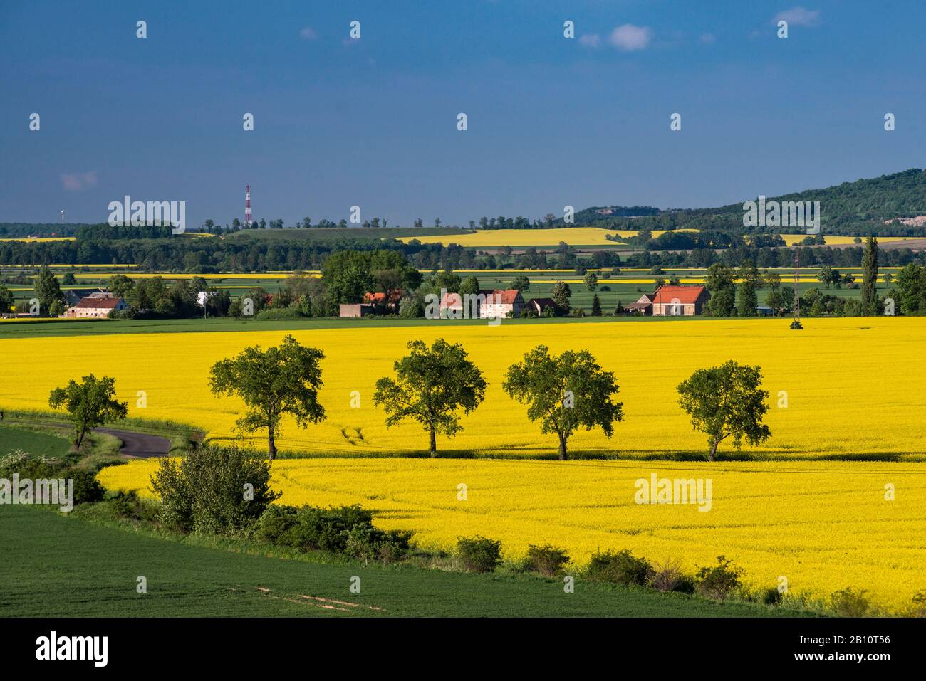 Agriculture in poland hi-res stock photography and images - Alamy
