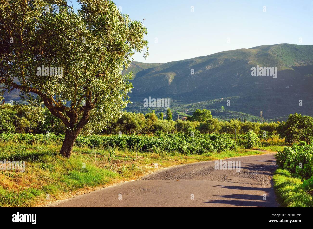 Natural and rocky narrow valley hi-res stock photography and images - Alamy
