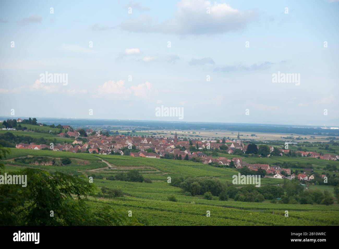 Hiking in Alsace with vinewyard views in France vacation Stock Photo ...