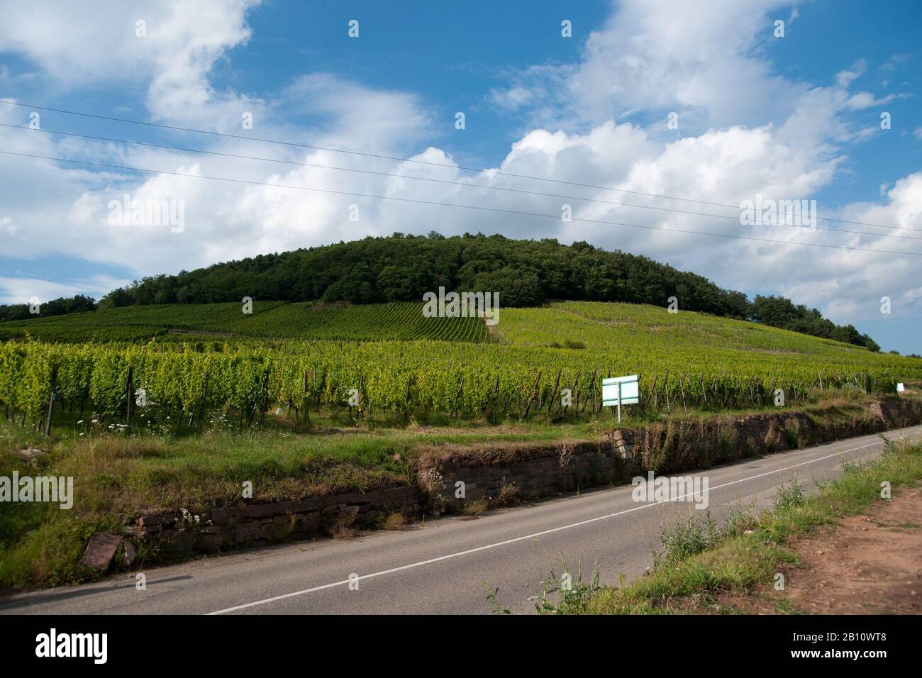Hiking in Alsace with vinewyard views in France vacation Stock Photo ...