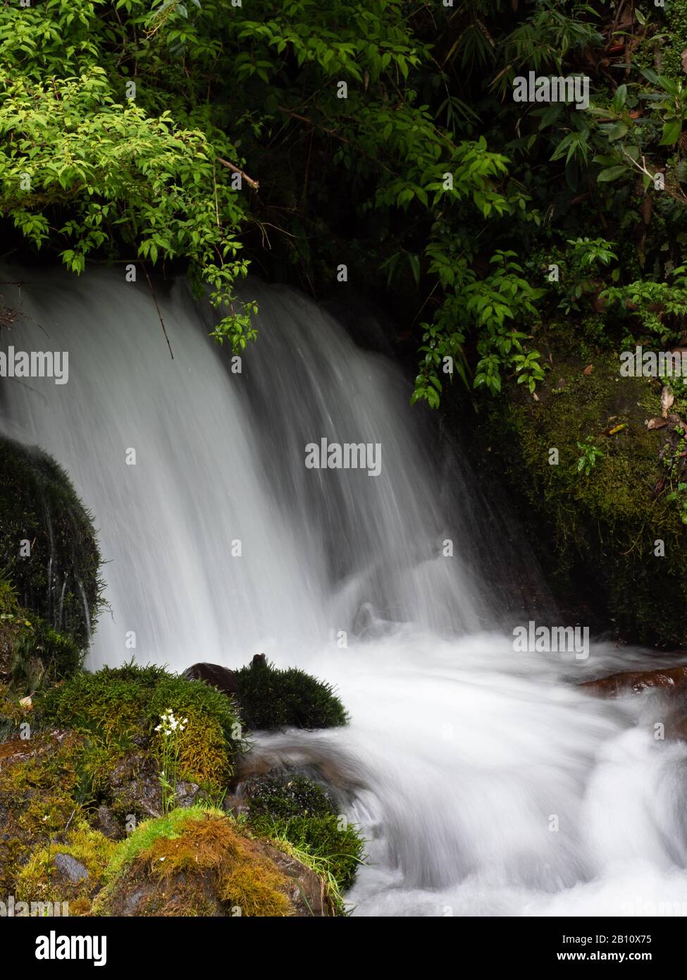 Region of Los Rios, Chile Stock Photo - Alamy
