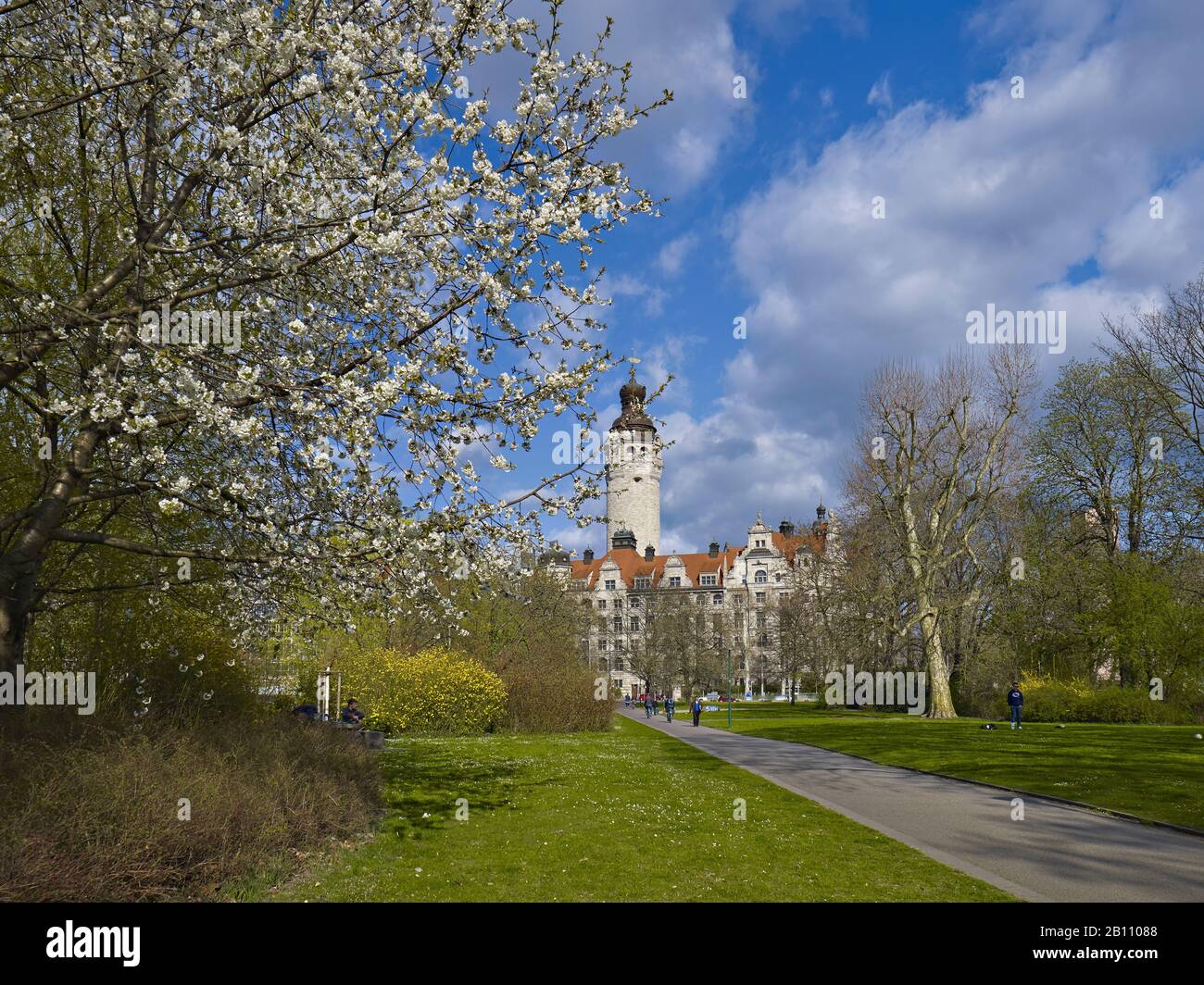 Town hall in centre hi-res stock photography and images - Alamy