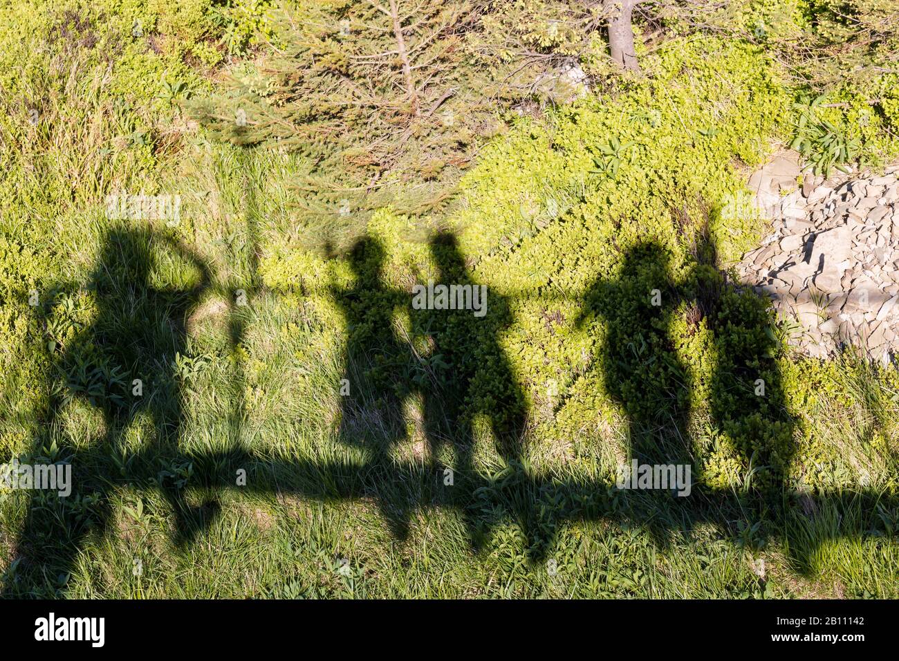 Happy shadows on a walk . Green background Stock Photo - Alamy
