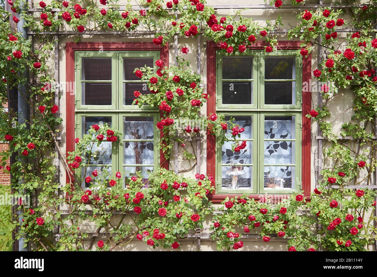 Building with facade in rose hi-res stock photography and images - Alamy