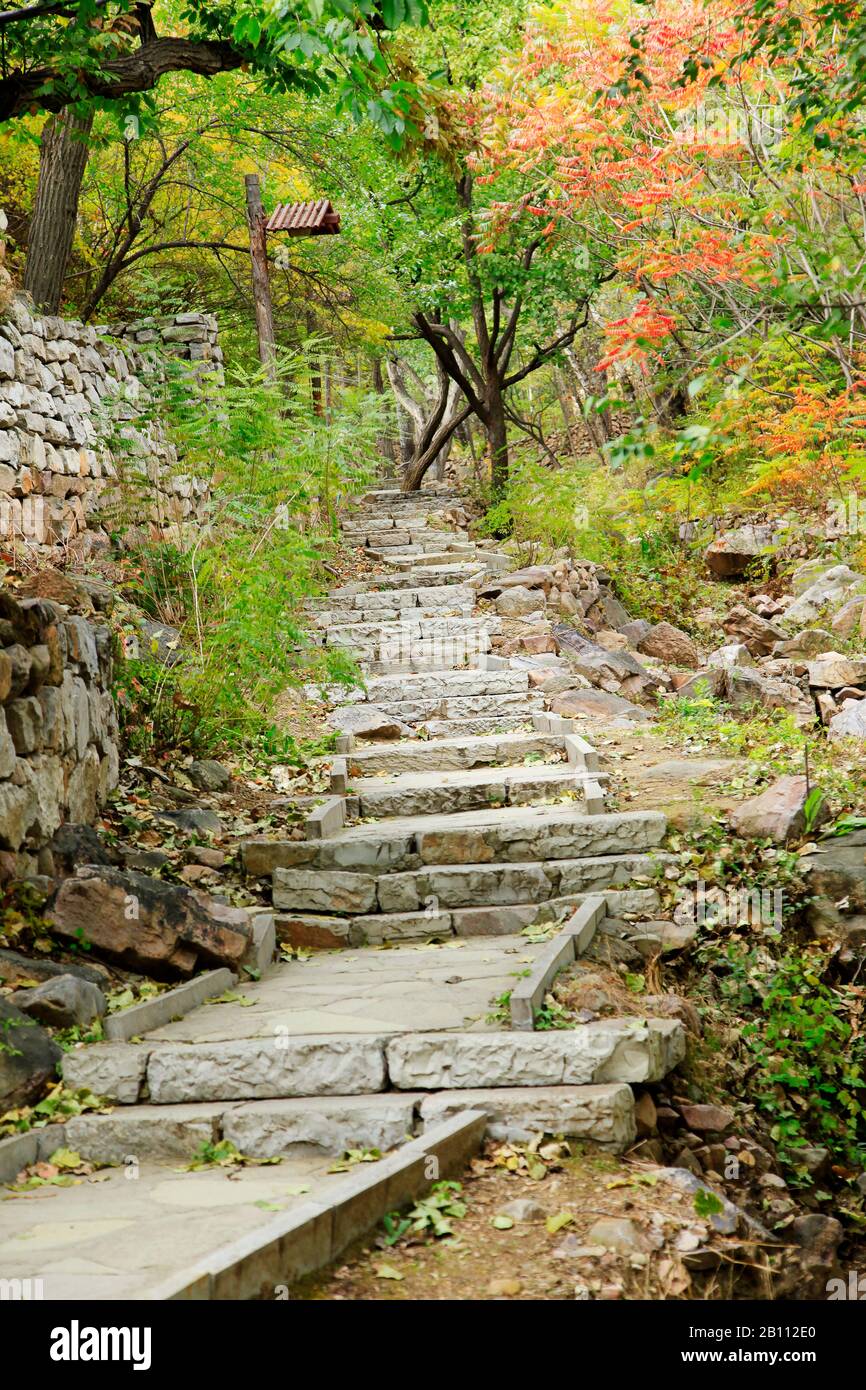 The mountain path Stock Photo - Alamy