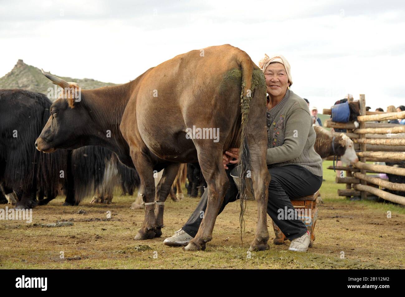 Melkerin hi-res stock photography and images - Alamy