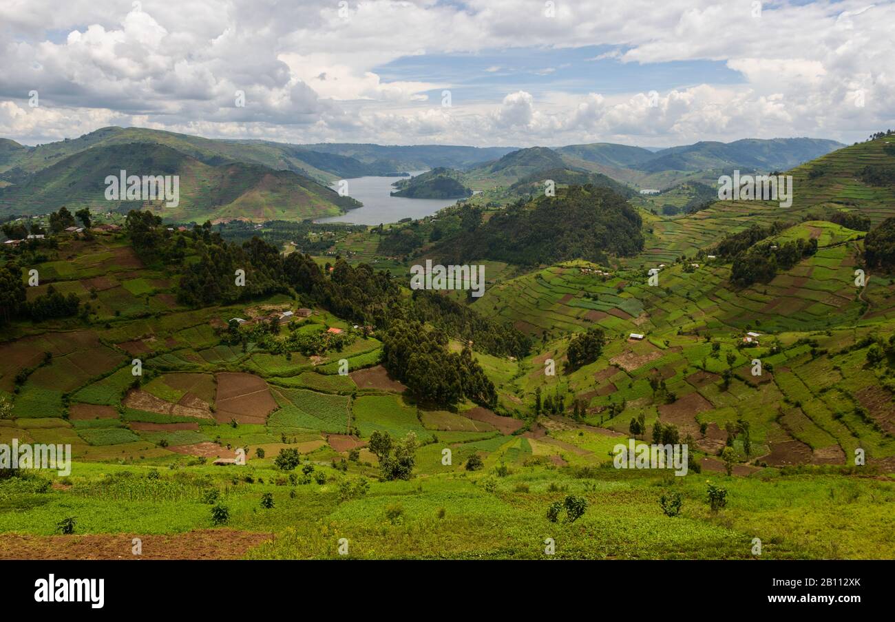 Rural landscape in uganda africa hi-res stock photography and images ...