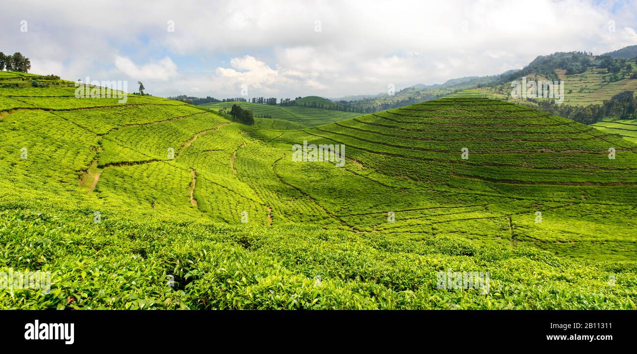 Agricultural extension africa hi-res stock photography and images - Alamy
