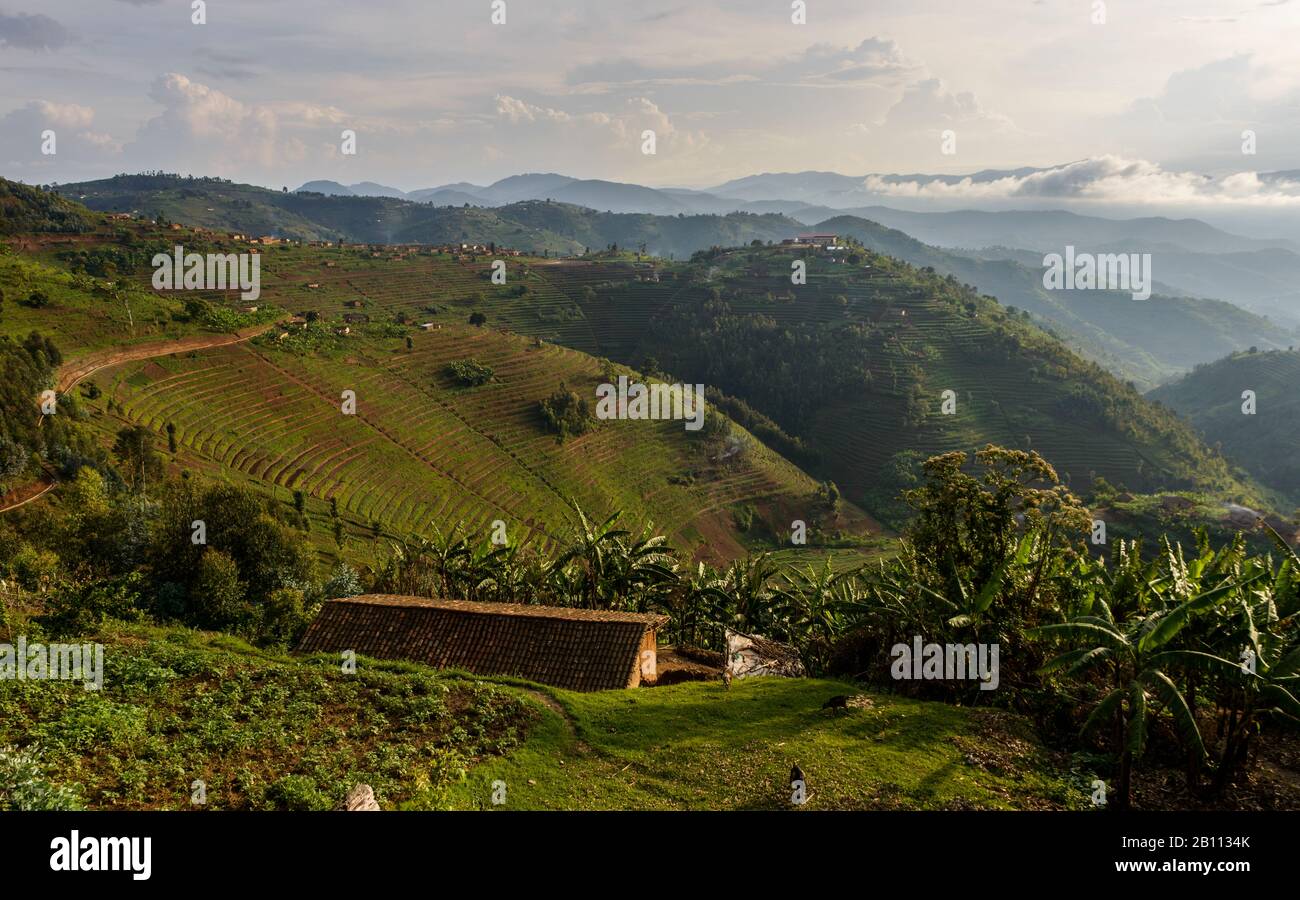 Terraced mountains of western rwanda hi-res stock photography and ...