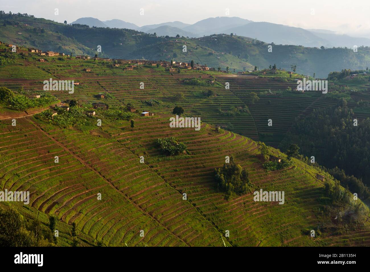 Terraced mountains of western Rwanda, Africa Stock Photo - Alamy