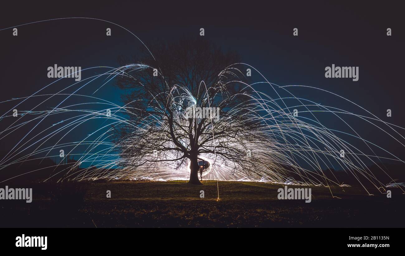 Centuries-old solitary tree ripped off by spinning steel wool with ...