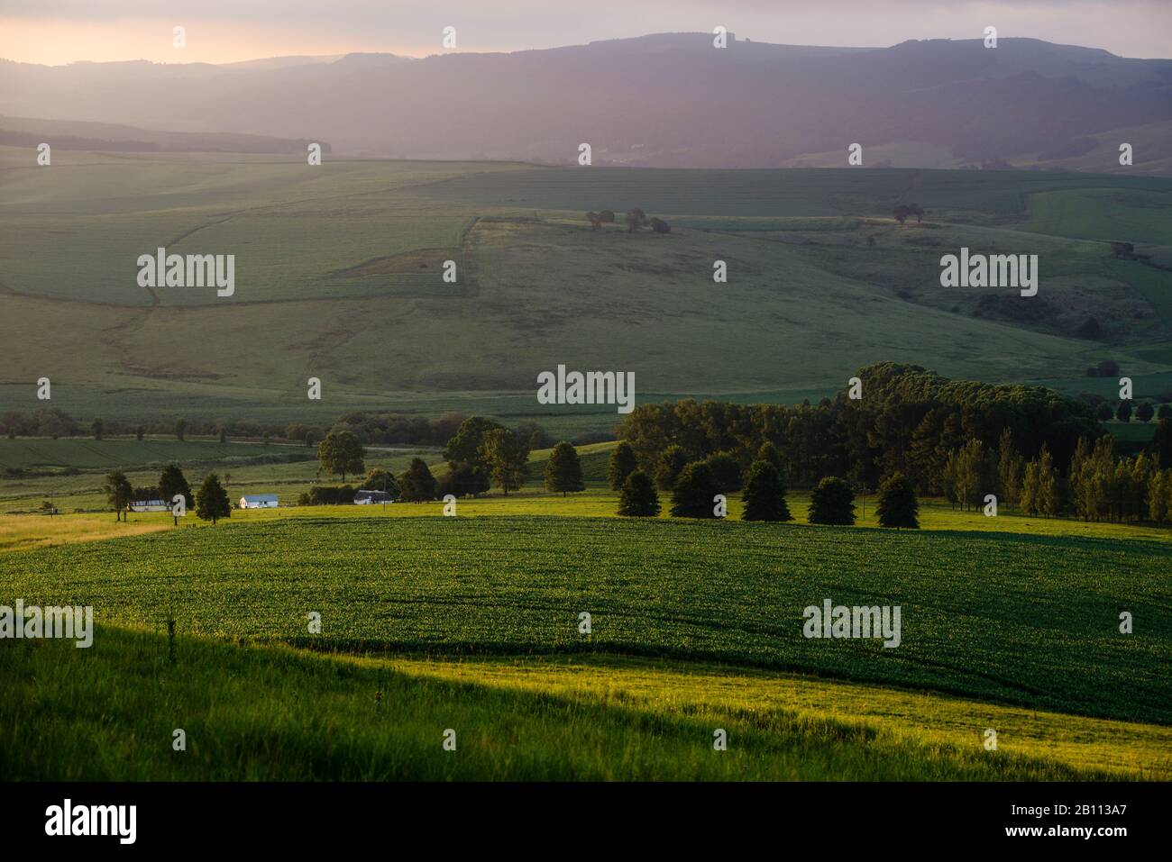 The fields and hills of Midlands Meander, Kwazulu Natal, South Africa ...