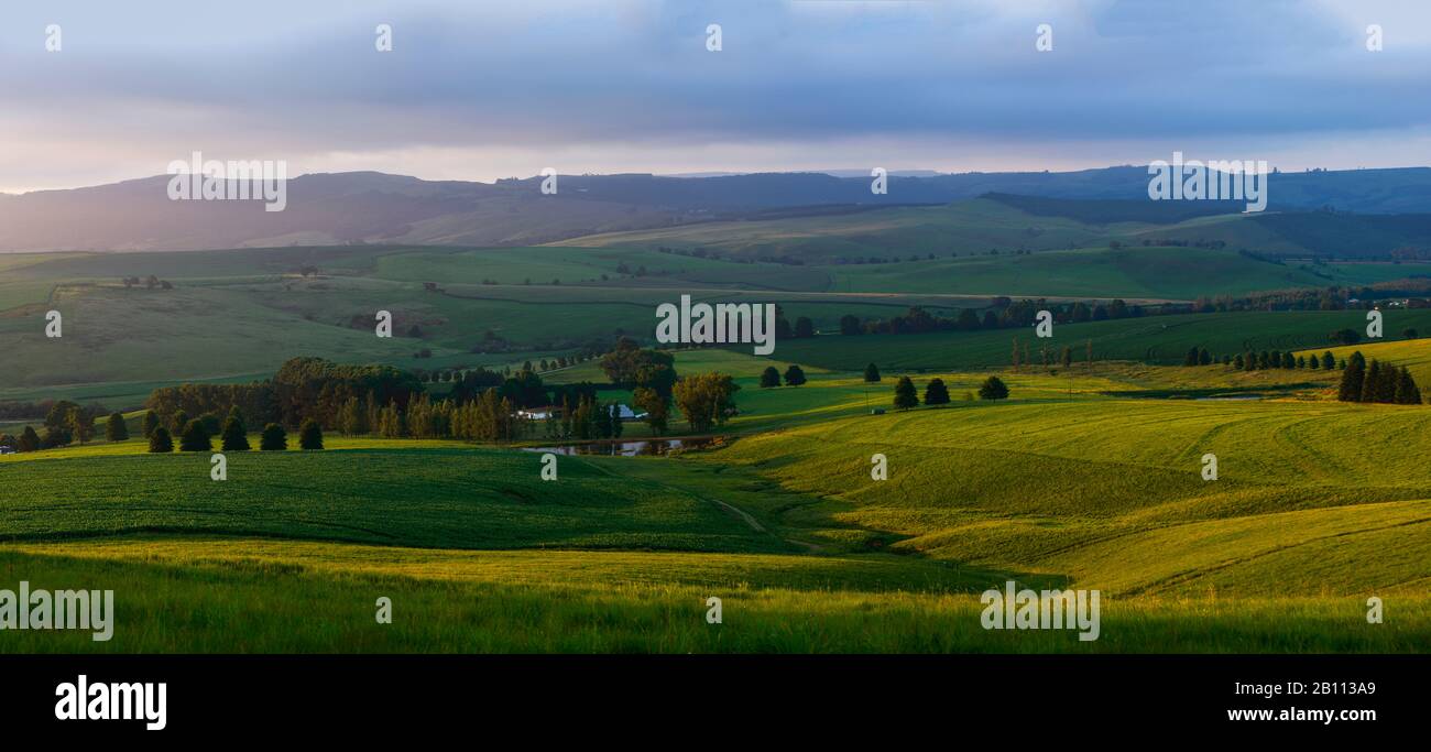 The fields and hills of Midlands Meander, Kwazulu Natal, South Africa ...