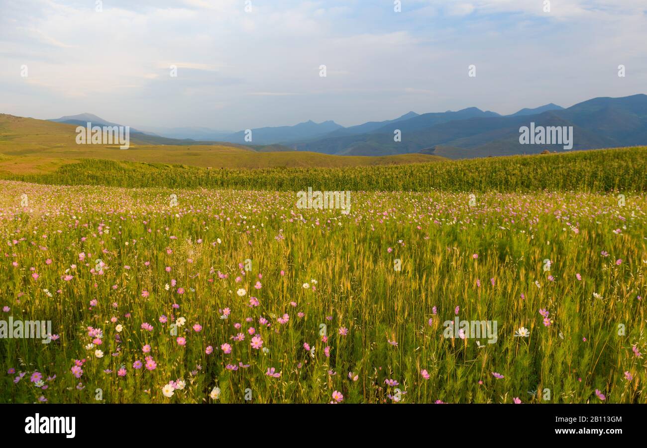 Rural area of Lesotho, Africa Stock Photo - Alamy
