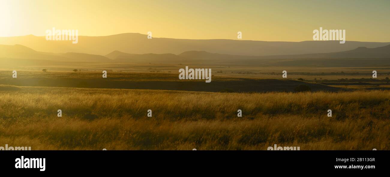 Karoo south africa hi-res stock photography and images - Alamy