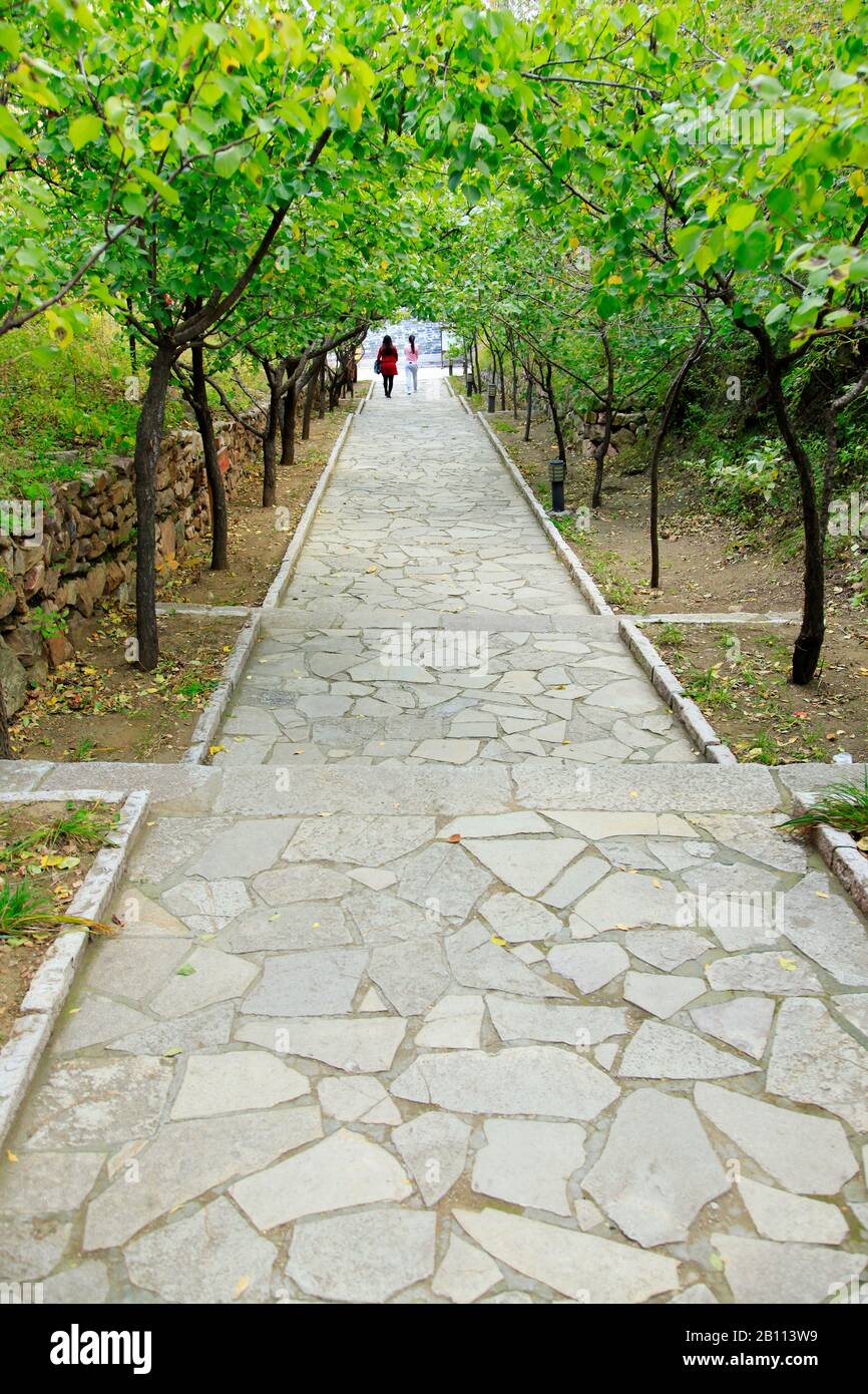 The mountain path Stock Photo - Alamy
