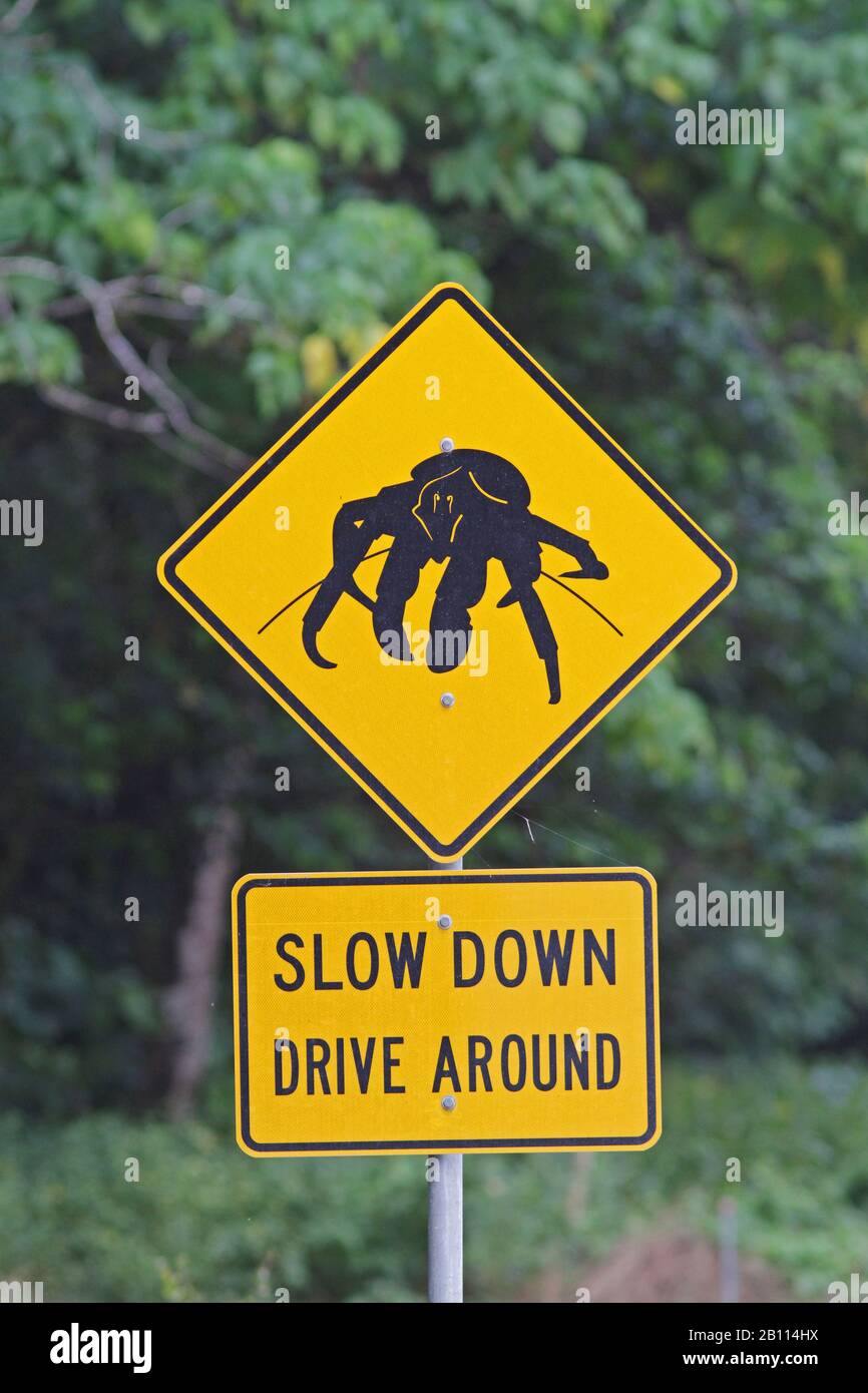traffic sign warning against crabs, Christmas Island Stock Photo - Alamy