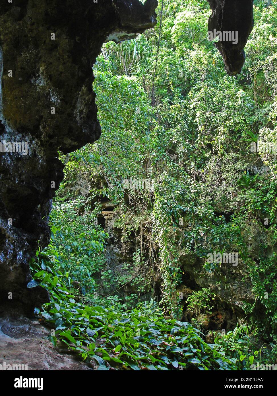 Cook Islands Caves