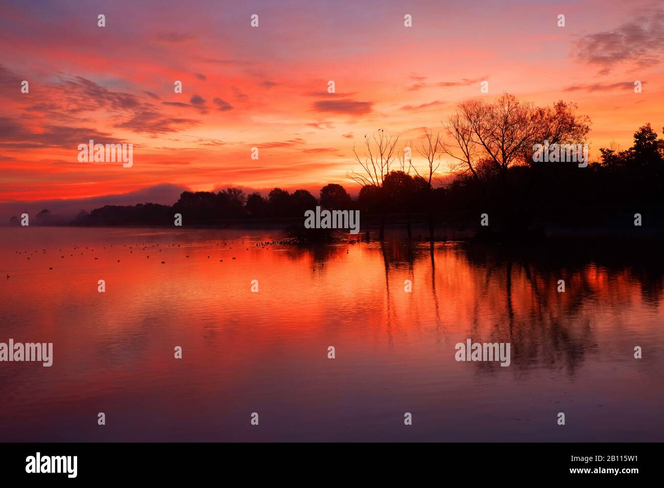 sunrise at river Isar storage reservoir, Germany, Bavaria, Moosburg ...
