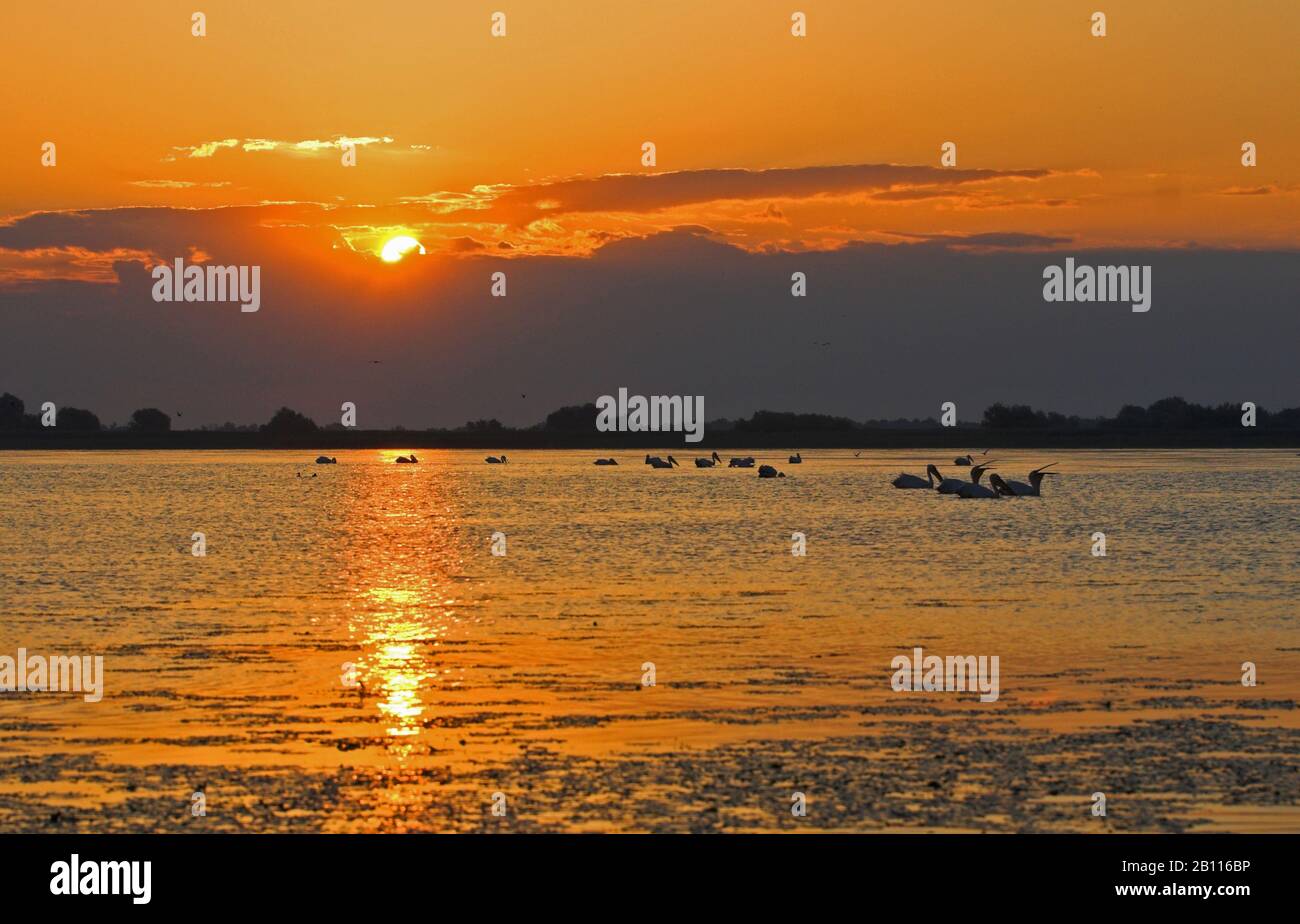 Danube Delta at sunset, Romania Stock Photo - Alamy