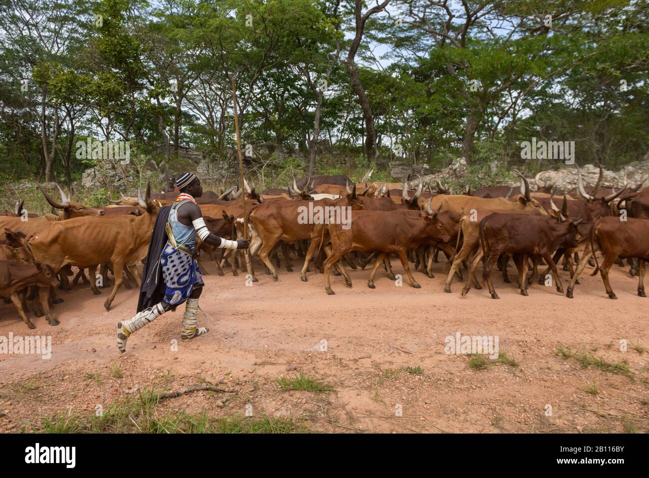 Shepherds of the Sukuma tribe, Western Tanzania, Africa Stock Photo - Alamy