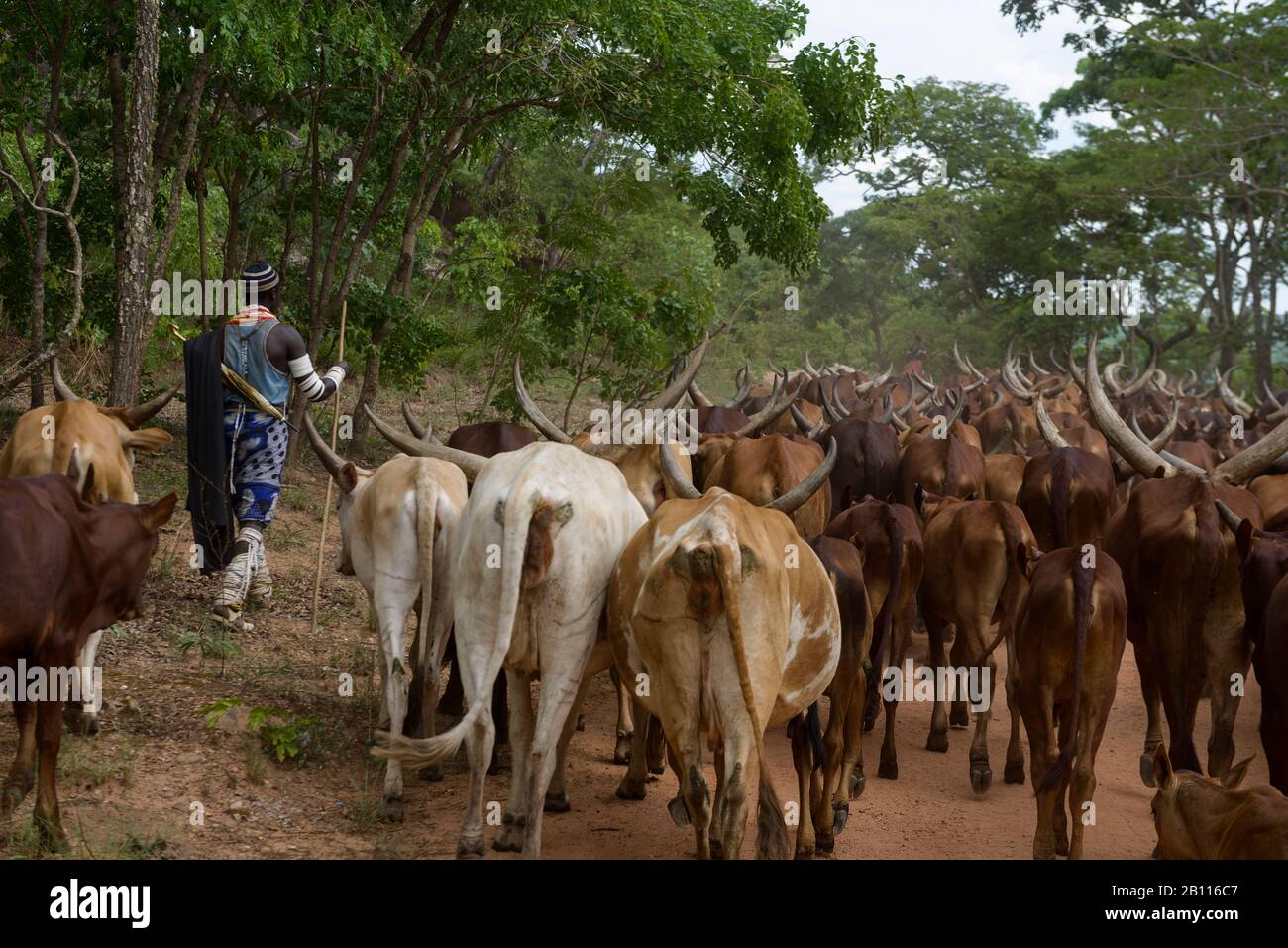 Shepherds of the Sukuma tribe, Western Tanzania, Africa Stock Photo - Alamy