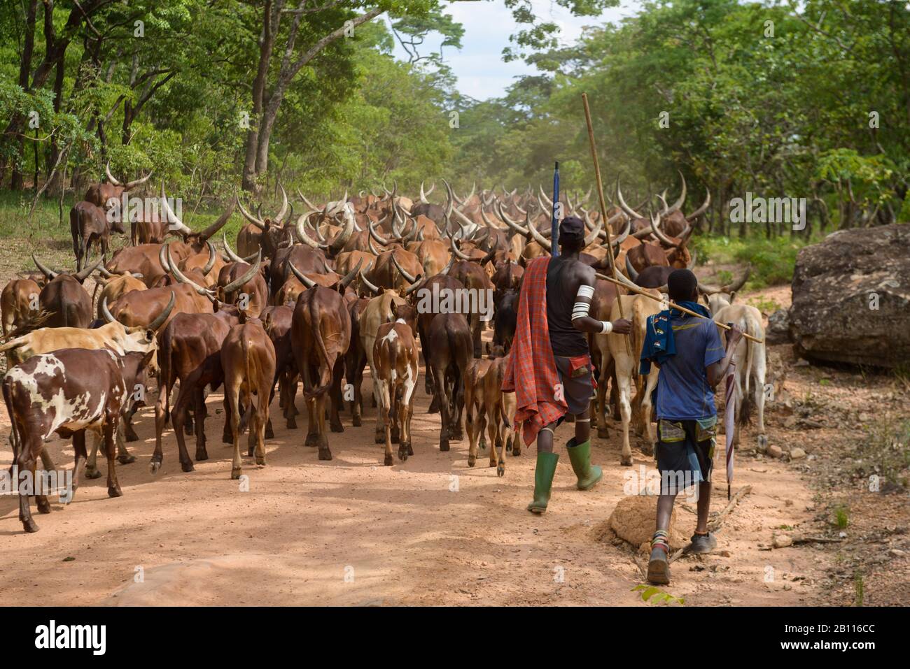 Sukuma tribe hi-res stock photography and images - Alamy