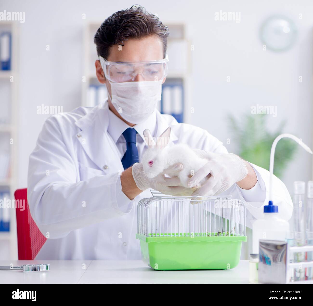 The vet doctor examining rabbit in pet hospital Stock Photo - Alamy