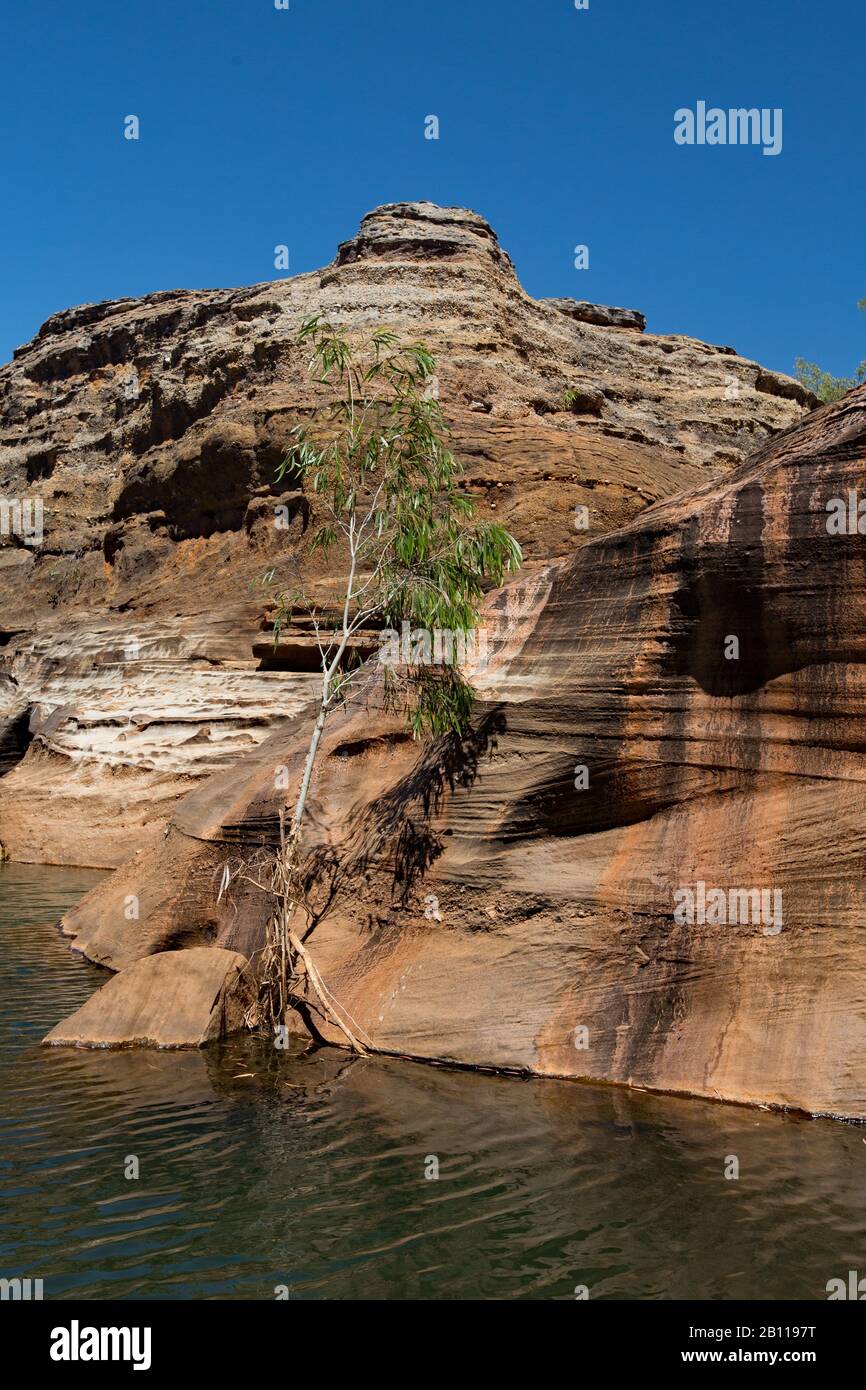 Cobbold gorge Outback Queensland tourism attraction Stock Photo - Alamy