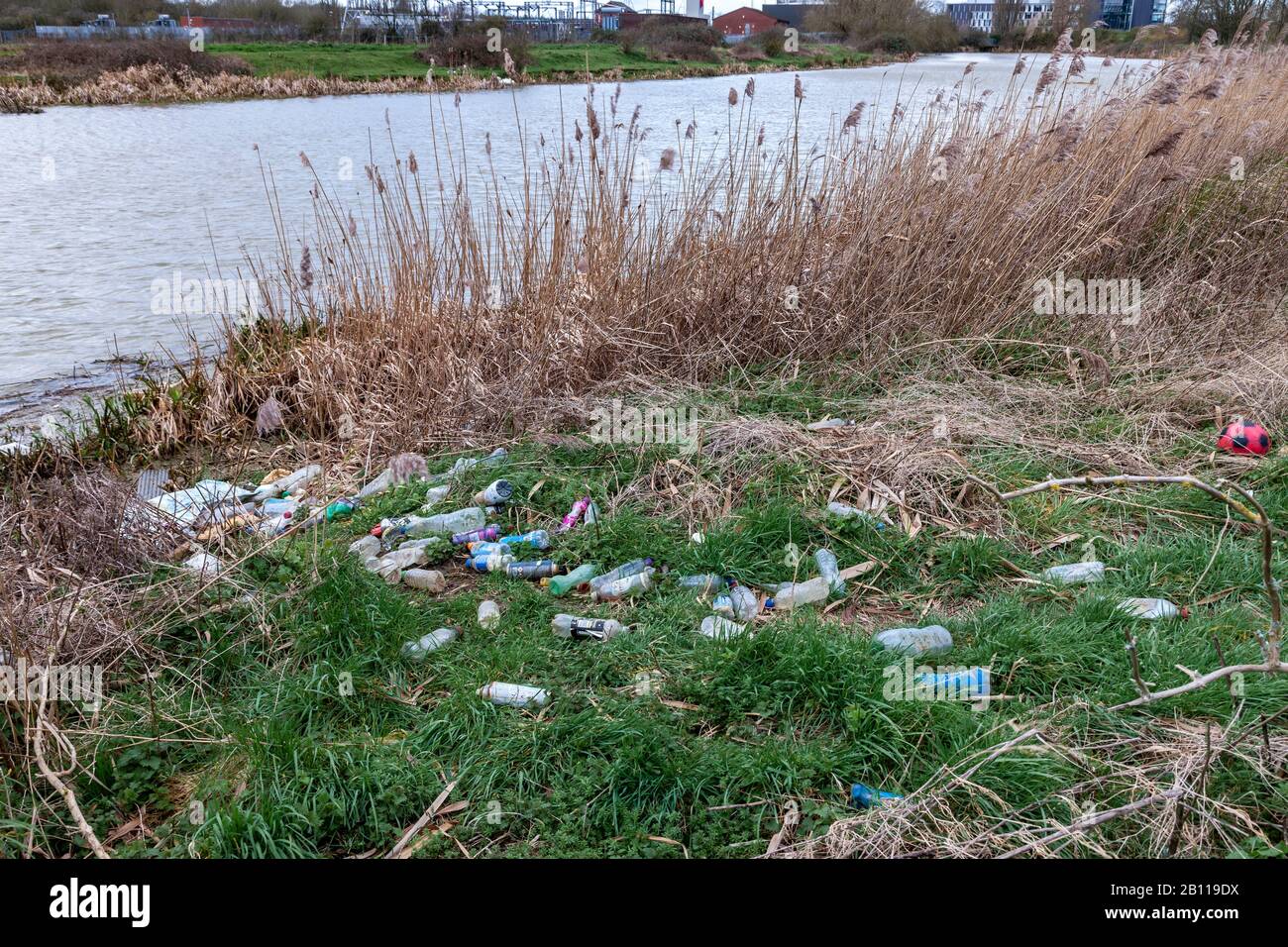 Plastic waste along a half mile stretch of the River Nene just outside ...