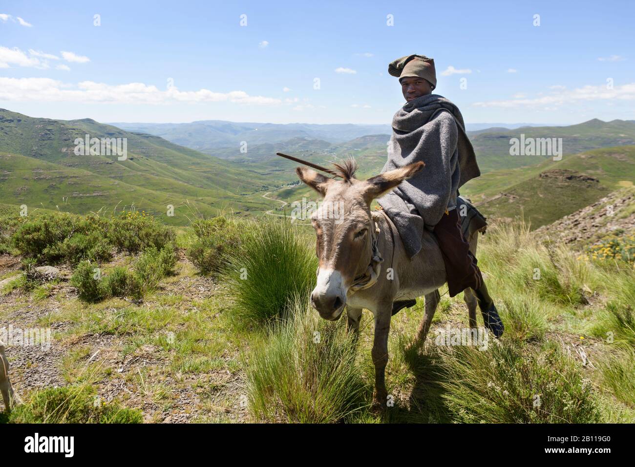 Basotho Shepherd, Lesotho, Africa Stock Photo - Alamy