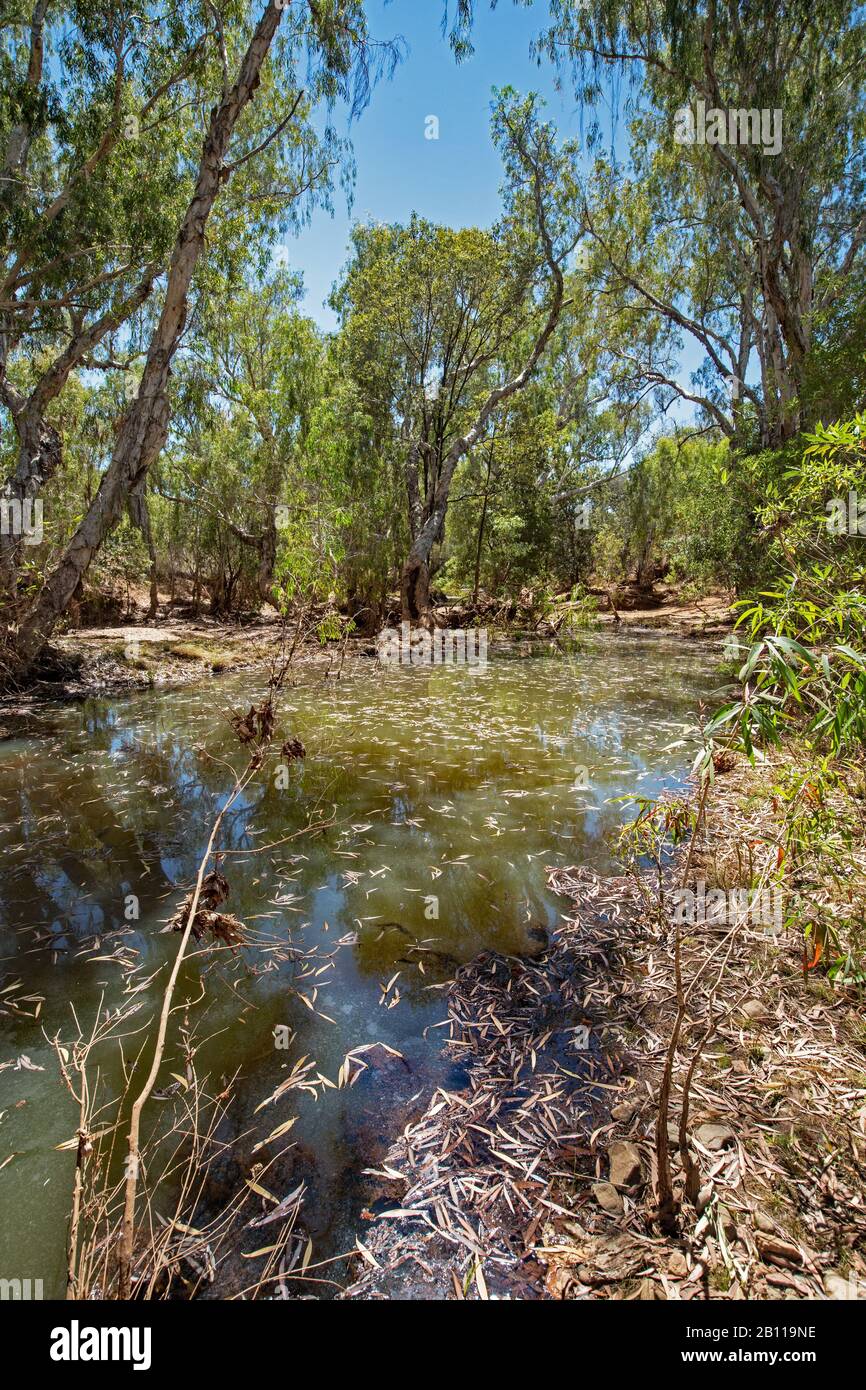 Cobbold gorge Outback Queensland tourism attraction Stock Photo - Alamy