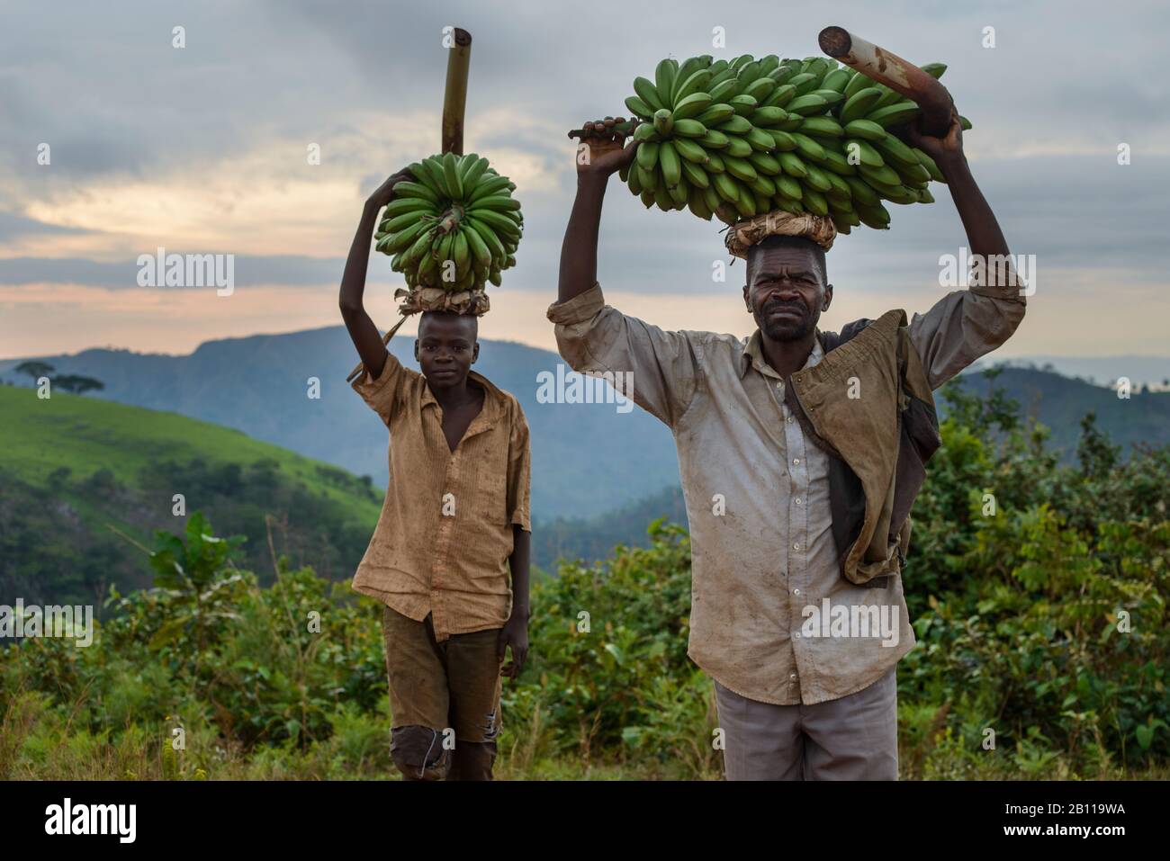 Banana picker, Burundi, Africa Stock Photo - Alamy
