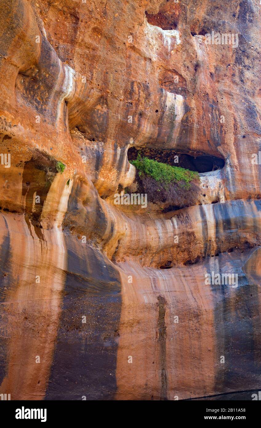 Cobbold gorge Outback Queensland tourism attraction Stock Photo - Alamy