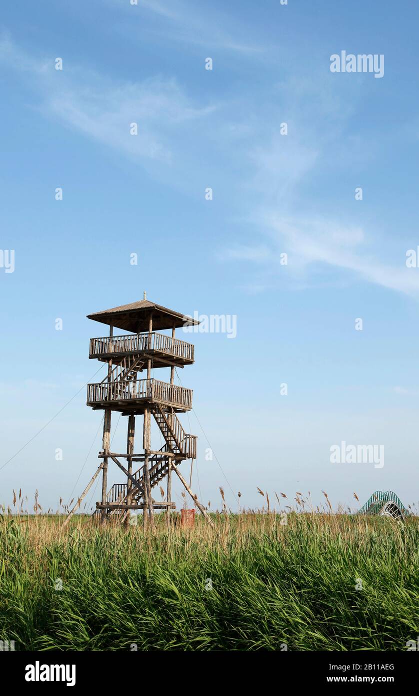 Wetland park viewing tower, it is very tall Stock Photo - Alamy