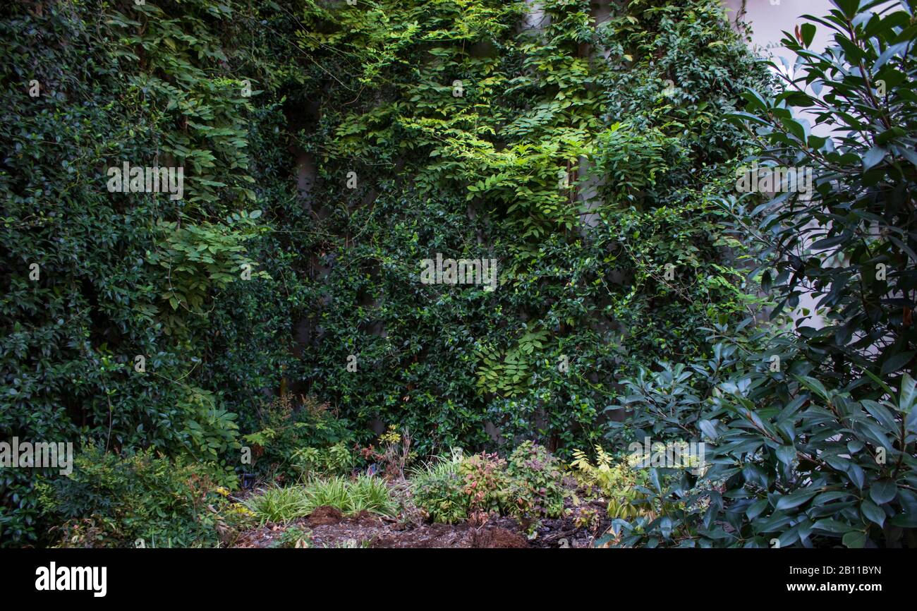 Beautiful landscape natural textures in the nature garden wallpaper ...