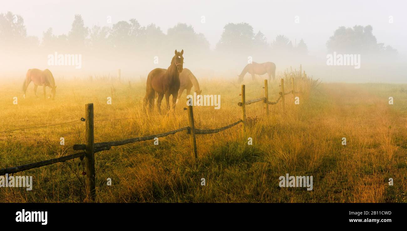 Augsburger land hi-res stock photography and images - Alamy