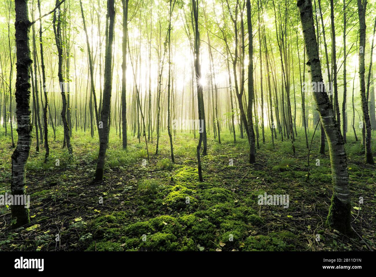 Augsburger land hi-res stock photography and images - Alamy