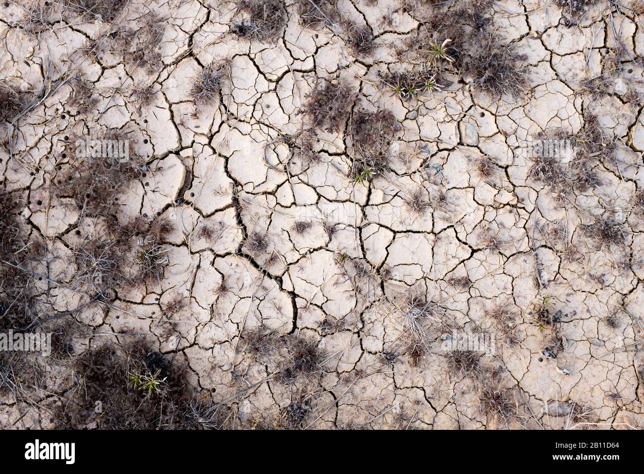 Daytime dried out europe hi-res stock photography and images - Alamy