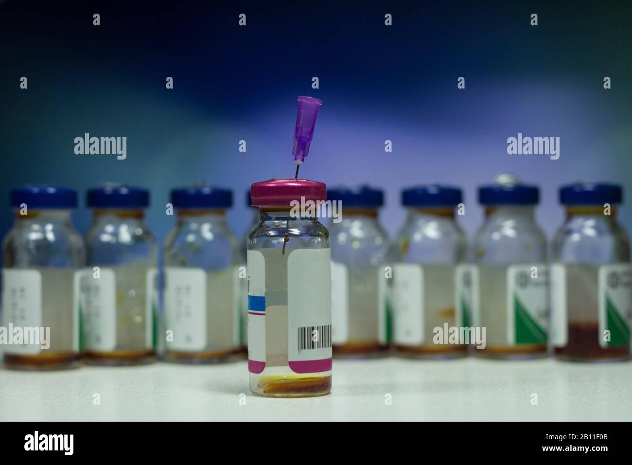 Close up vaccine vial needle dose flu vaccine drug syringe medical ...