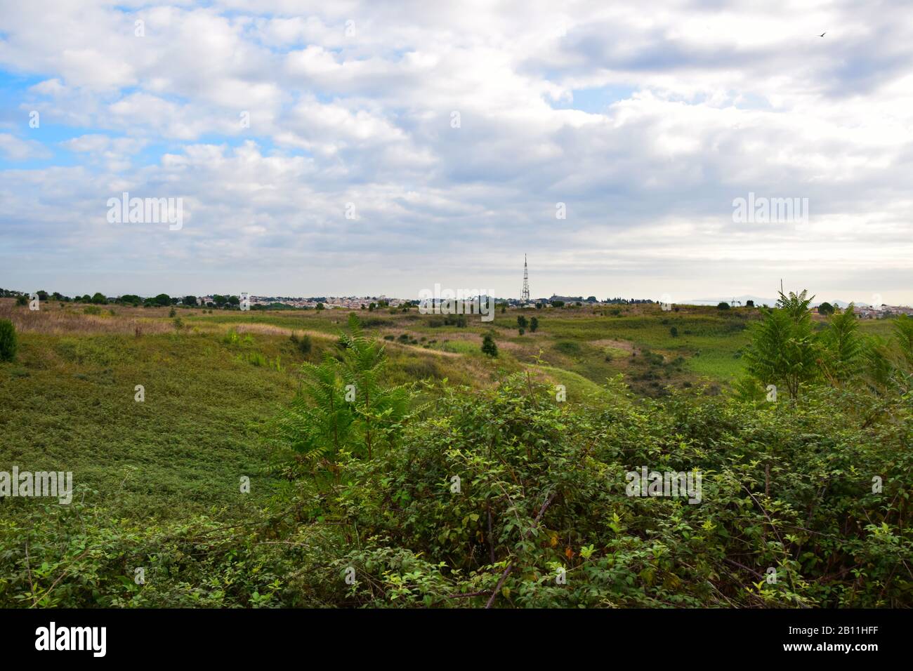 Pineto regional park hi-res stock photography and images - Alamy