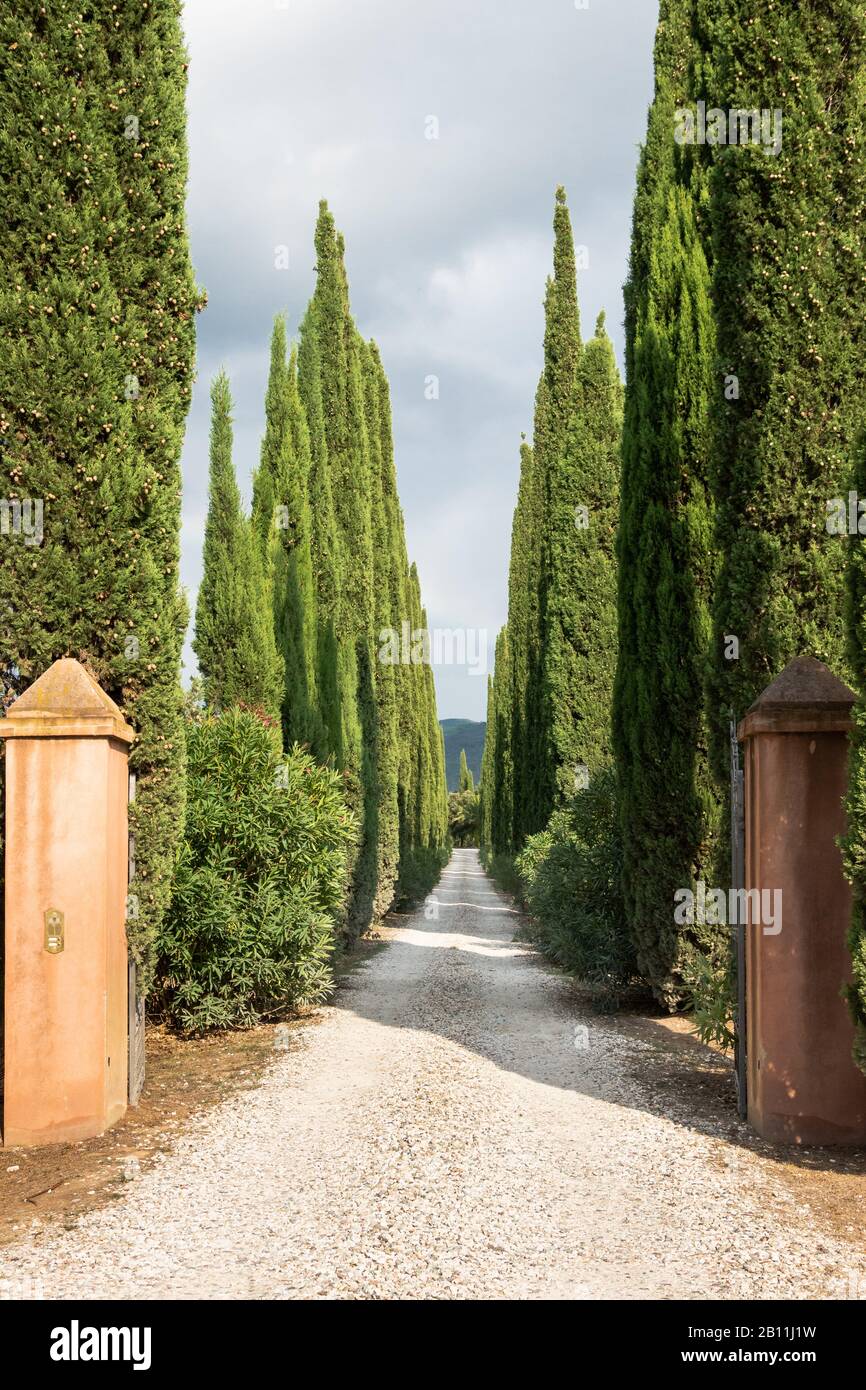 Symmetric landscape High Resolution Stock Photography and Images - Alamy