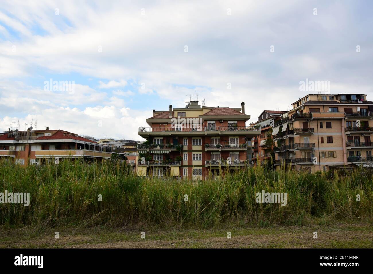 Pineto regional park hi-res stock photography and images - Alamy
