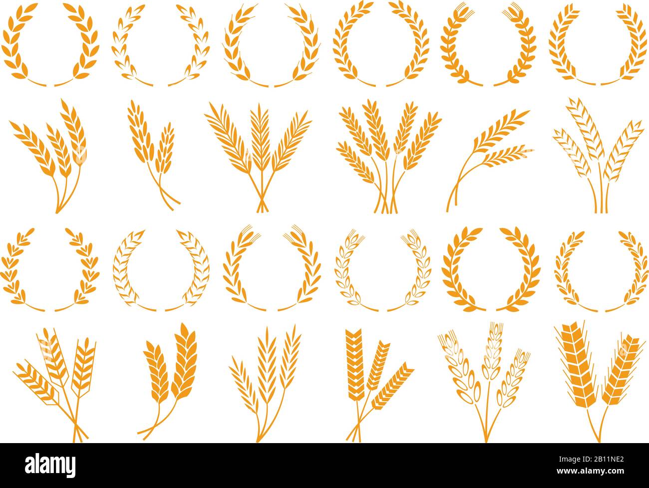 Wheat or barley ears. Harvest wheat grain, growth rice stalk and bread ...