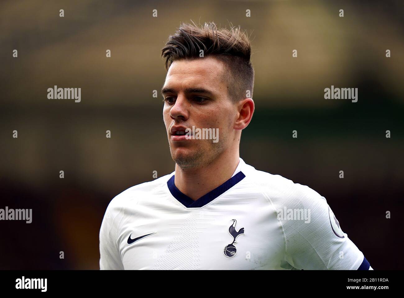 Tottenham Hotspur's Giovani Lo Celso during the Premier League match at ...