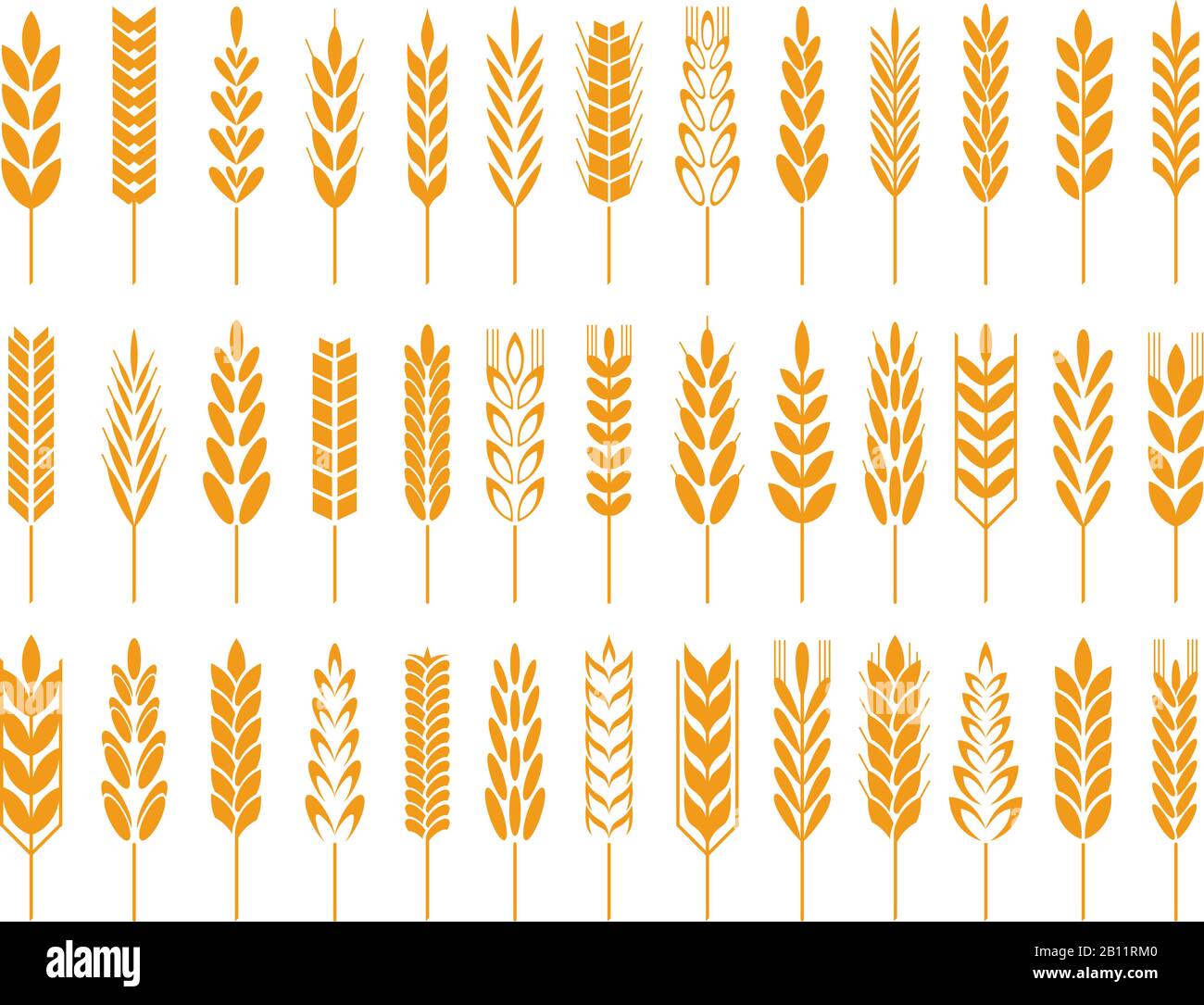 Wheat Stalk Vector