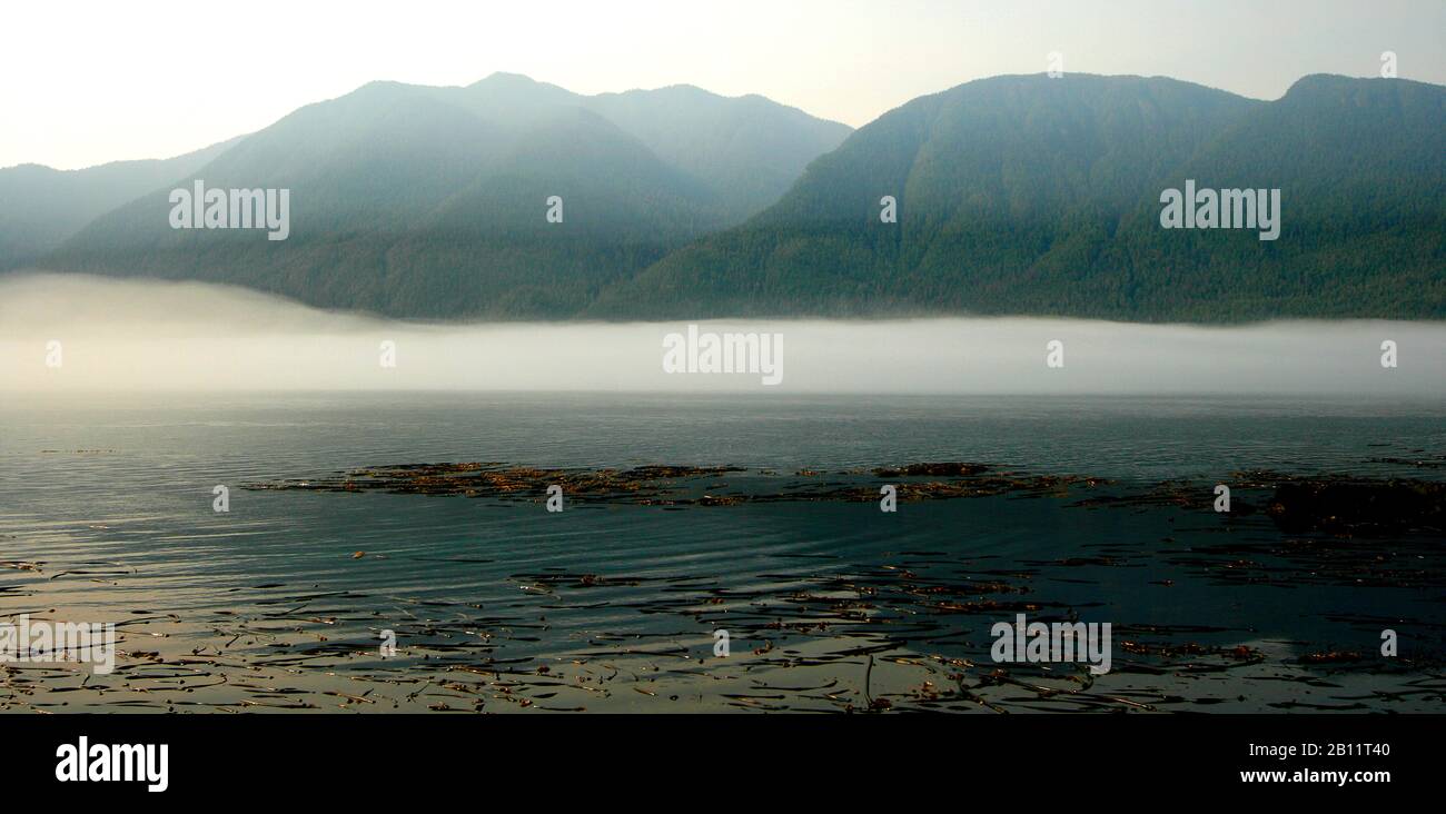 Johnstone strait. Vancouver island. British Columbia. Canada Stock ...