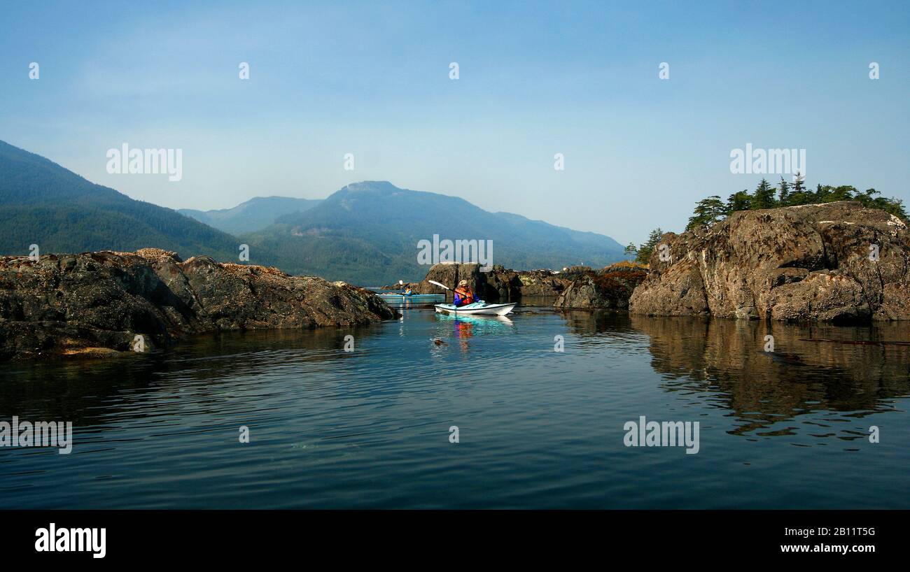 Kayaking in Johnstone strait. Vancouver island. British Columbia ...